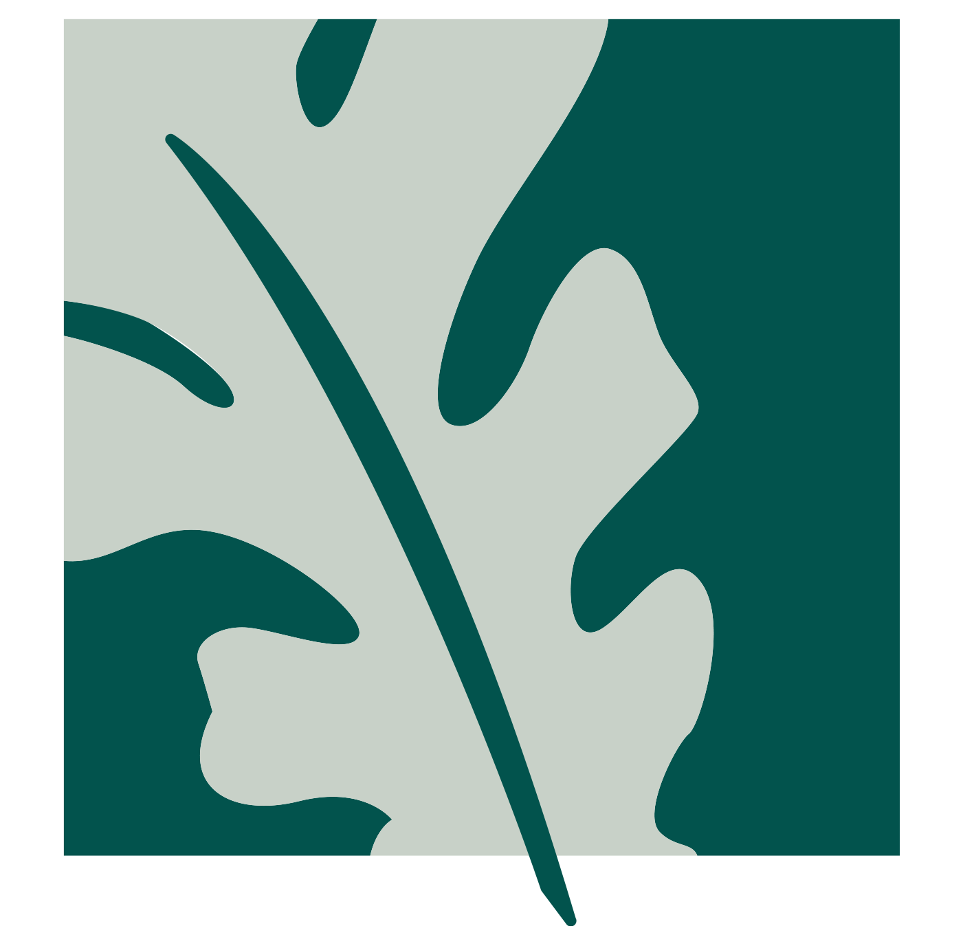 California Native Wildflower Seeds | UC Davis Arboretum and Public Garden